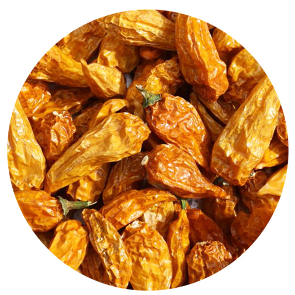 Datil Pepper | Datil Pepper Pods 1kg